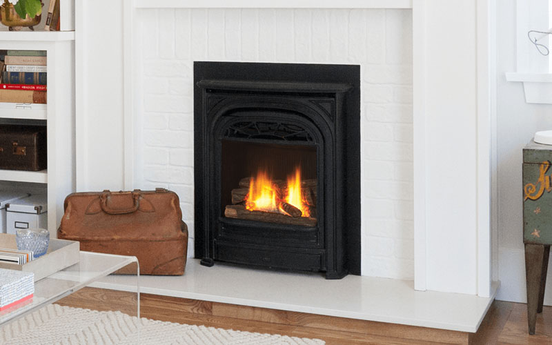 Valor Fireplaces Portrait Insert